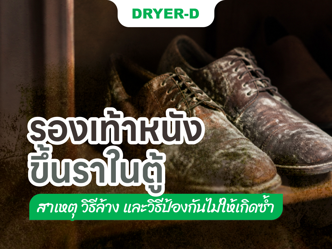 รองเท้าหนังขึ้นราในตู้: สาเหตุ วิธีล้าง และวิธีป้องกันไม่ให้เกิดซ้ำ